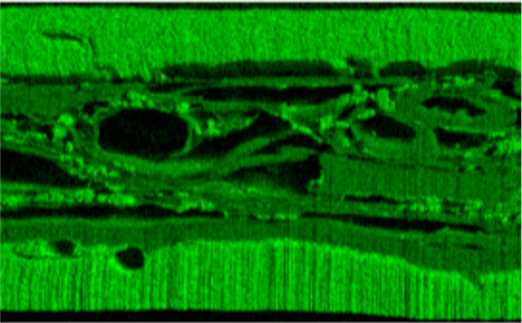 Cross-section and surface analysis of paper material | nanocenter